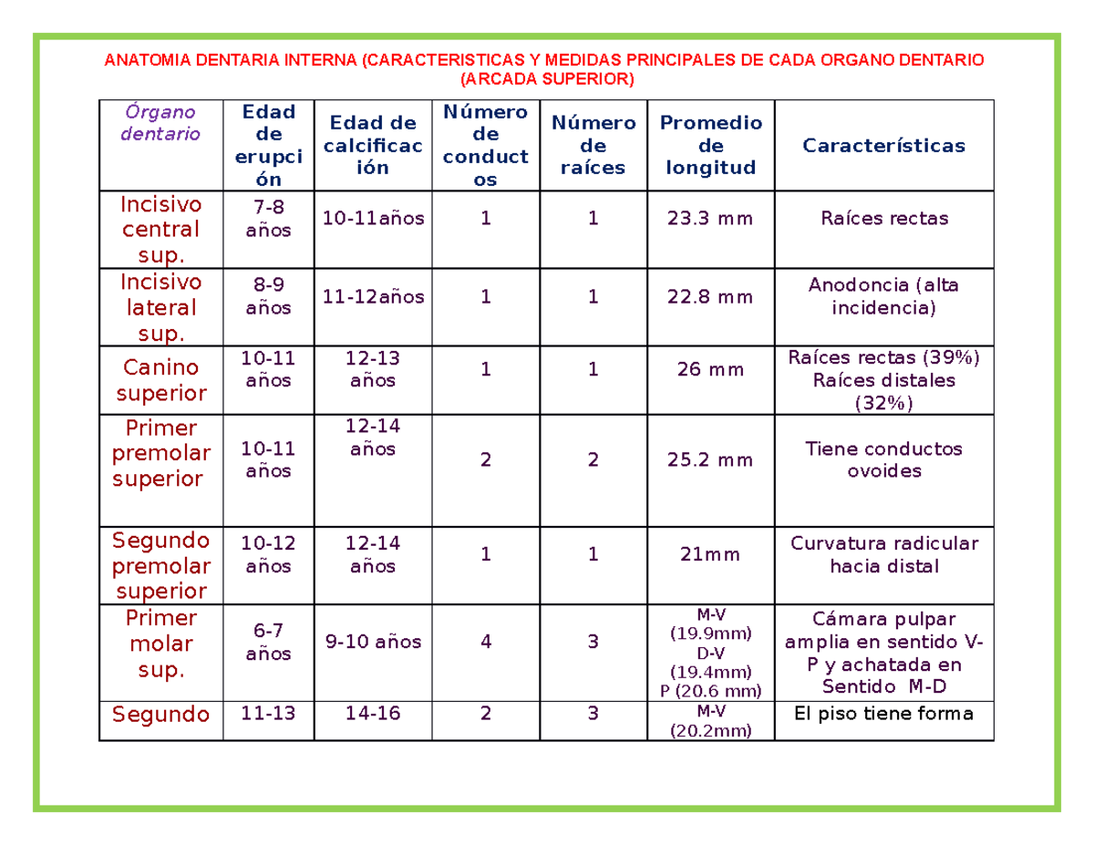 Anatomia Dental- Arcada Superior E Inferior - ANATOMIA DENTARIA INTERNA ...