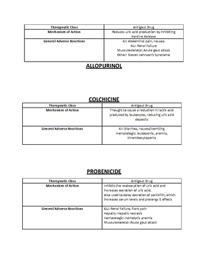 Medication Ace Inhibitors - ACTIVE LEARNING TEMPLATES TherapeuTic ...