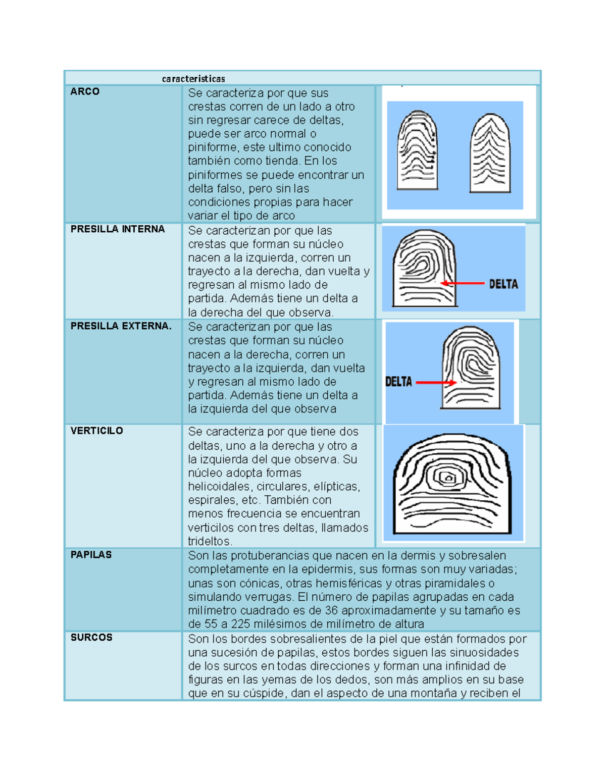 Caracteristicas dactilares - caracteristicas ARCO Se caracteriza por ...
