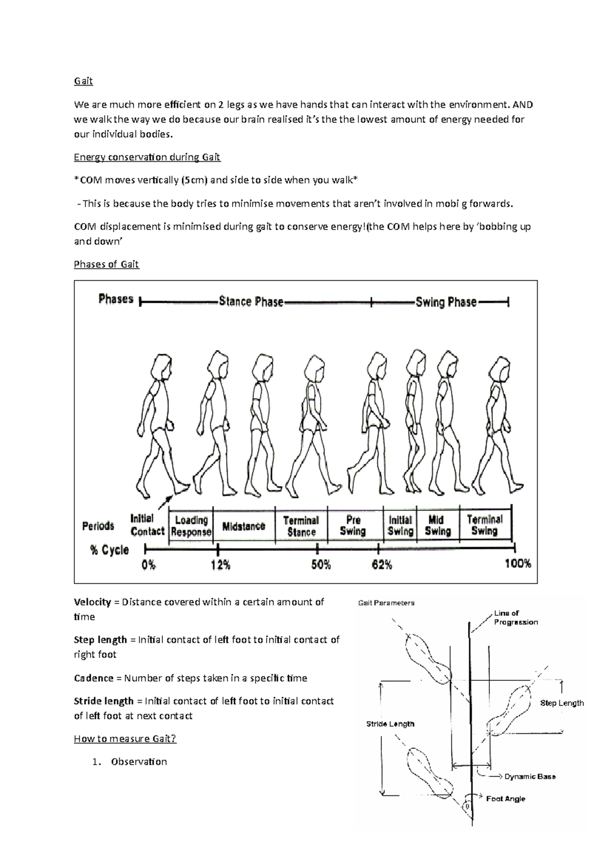 Gait - Gait - Cycle, pictures and descriptions - Gait We are much more ...