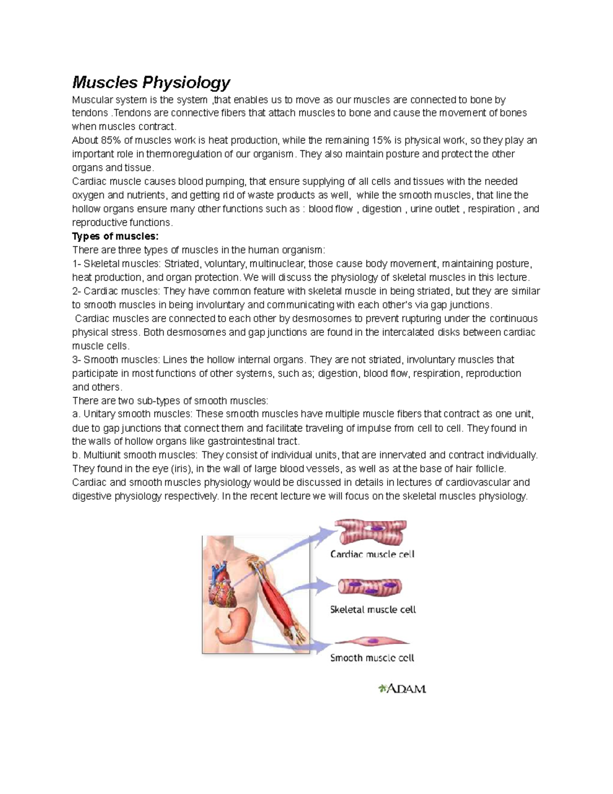 Muscular anatomy-physiology - Muscles Physiology Muscular system is the ...