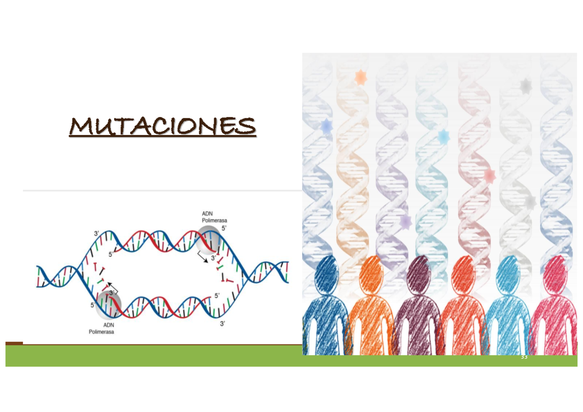 Mutaciones - renan pdf anotadoa - MUTACIONES ####### Alteraciones ...