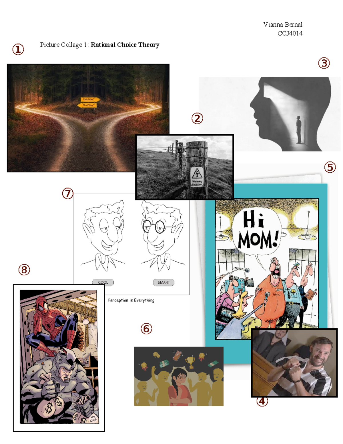 Picture Collage 1 - CCJ 4014 - Vianna Bernal CCJ Picture Collage 1 ...
