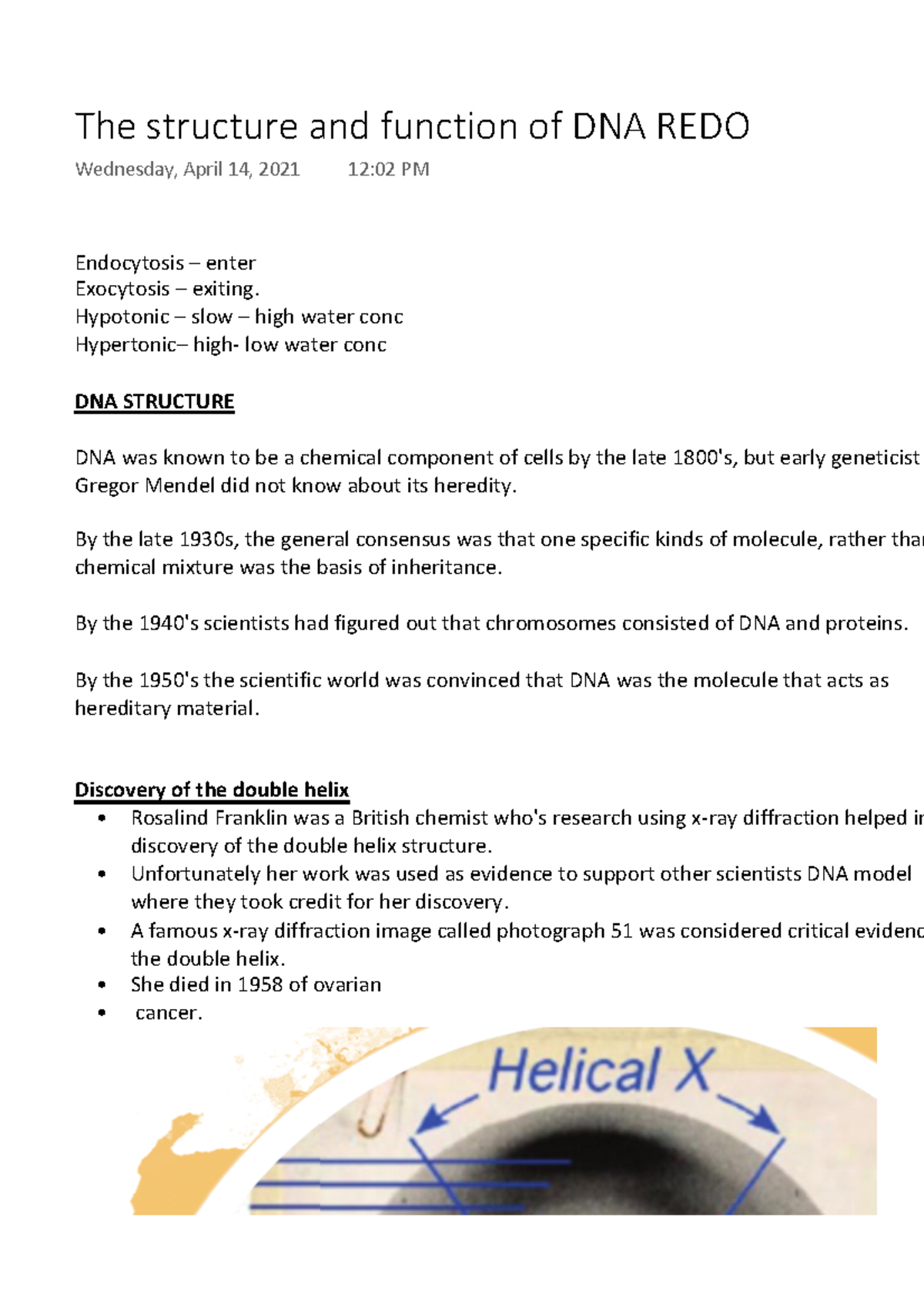 BIOL401 L10The structure and function of DNA REDO - Endocytosis – enter ...