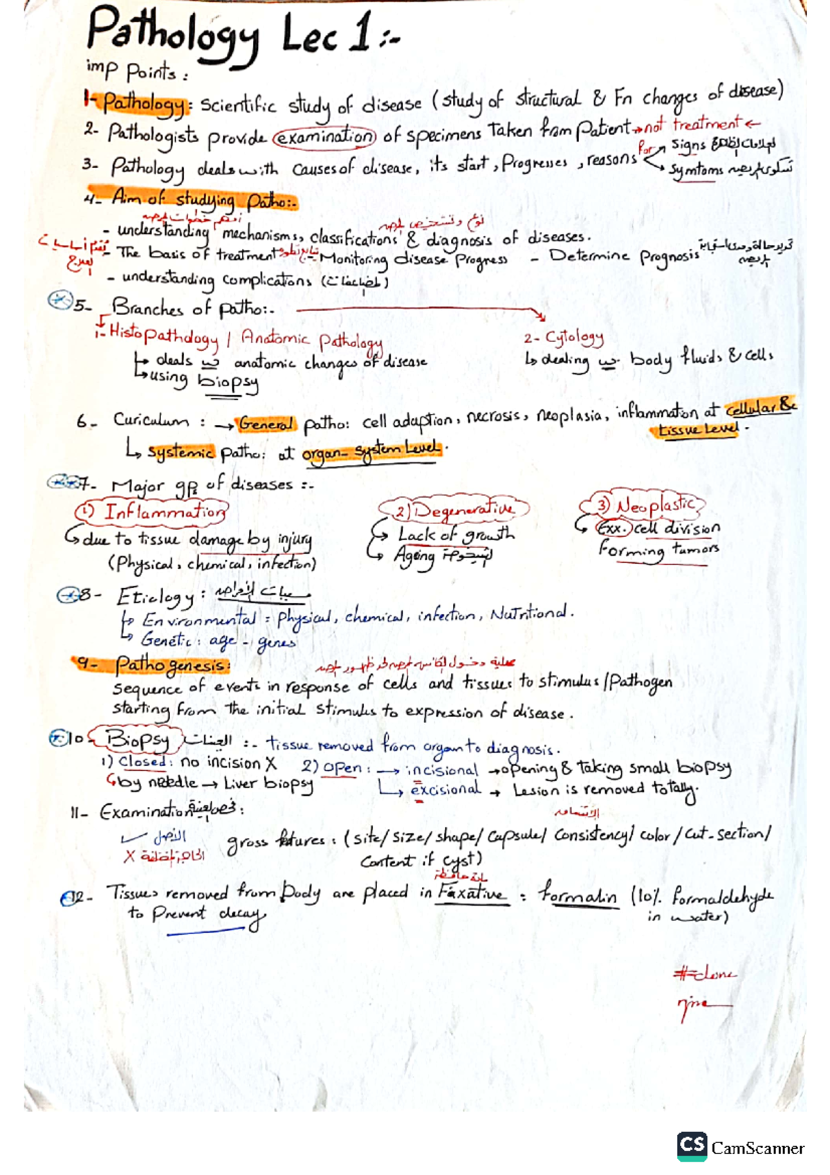Lec 1,2, 3 - Physiology lecture - Studocu