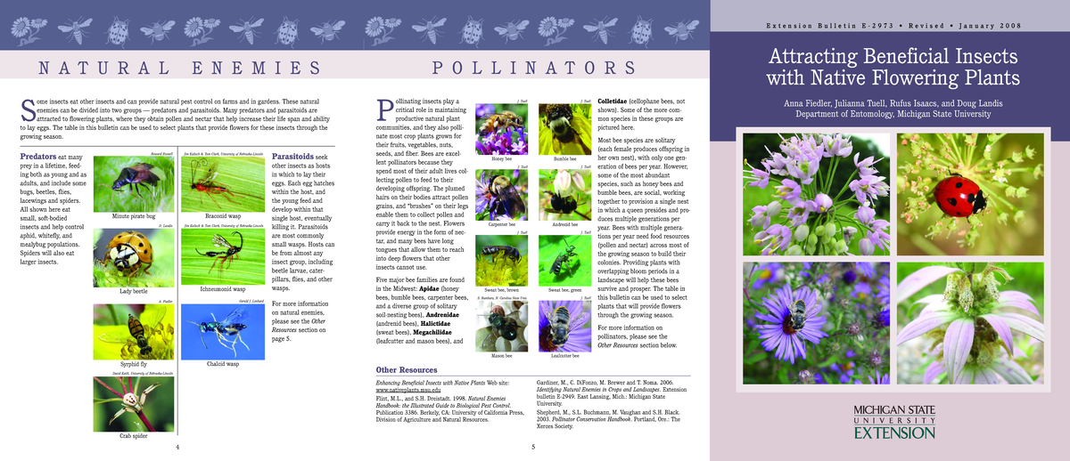 E2973 - Plantas para control de plagas - P ollinating insects play a ...