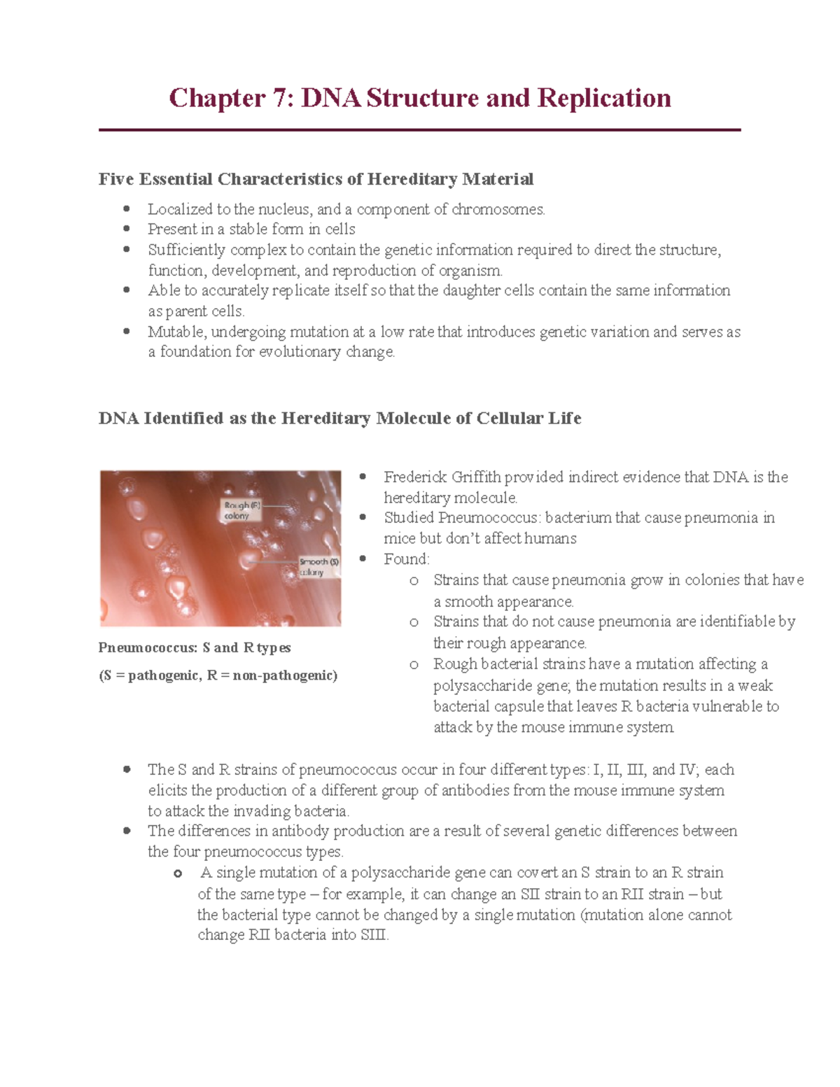 Biology 2C03 - Chapter 7 - Chapter 7: DNA Structure and Replication ...