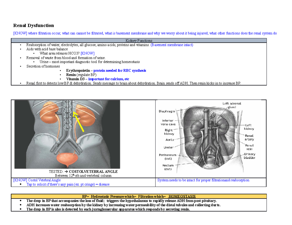 Intrarenal Disorders +Notes - Renal Dysfunction [KNOW] where filtration ...