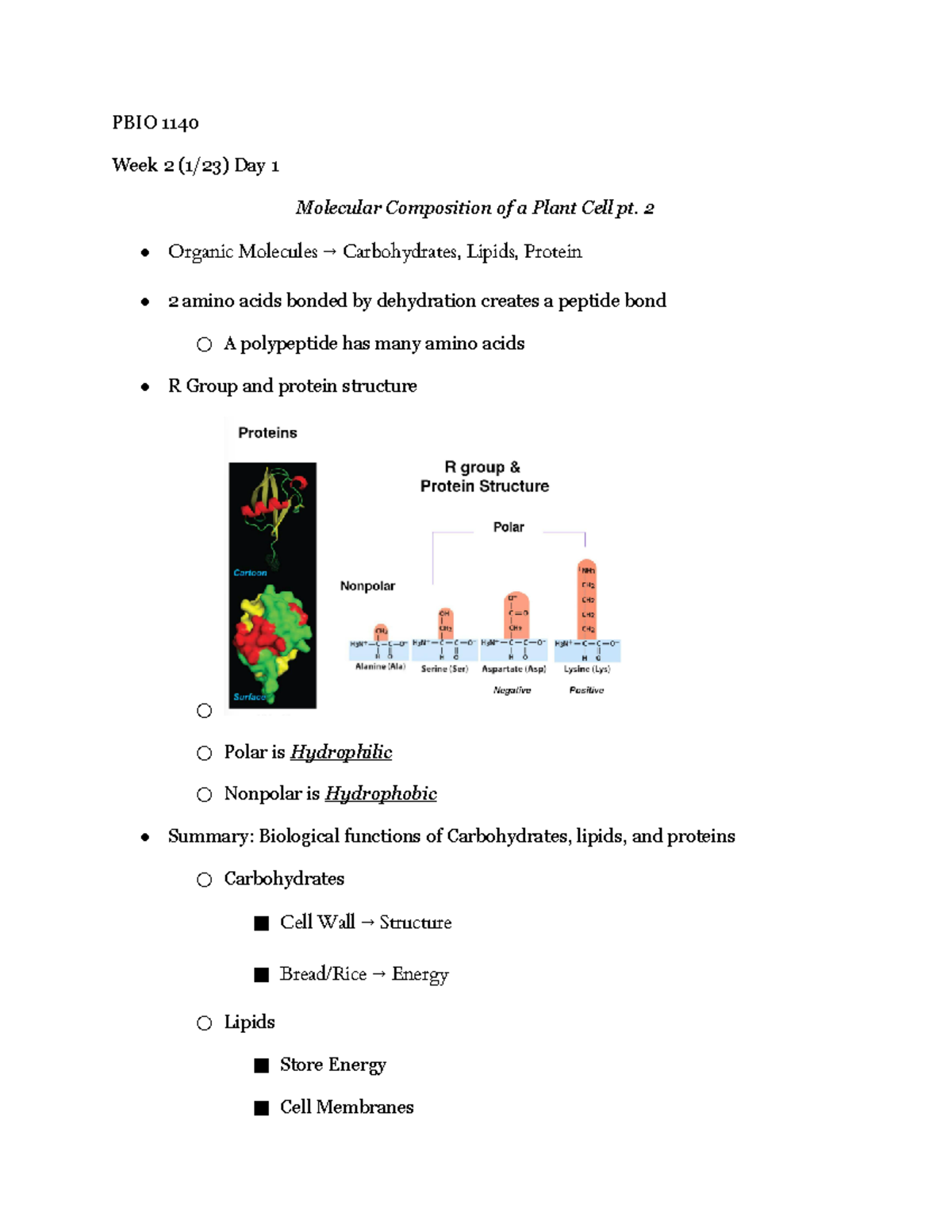 Week 2 - Dr. Zua pbio 1140 - PBIO 1140 Week 2 (1/23) Day 1 Molecular ...