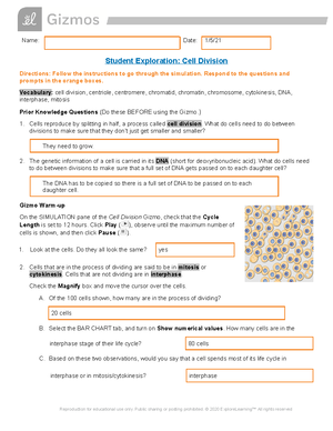Meiosis Gizmo - answers for bio - Name: Date: Student Exploration ...