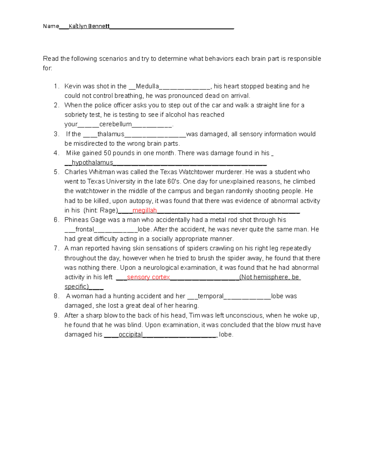 Parts of the Brain Homework - Name___Kaitlyn Bennett