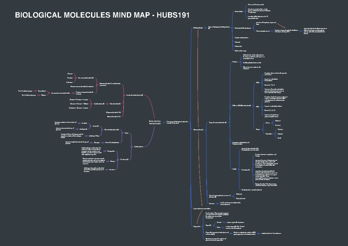 Biological Molecules - BIOLOGICAL MOLECULES Levels of carbohydrates (4 ...