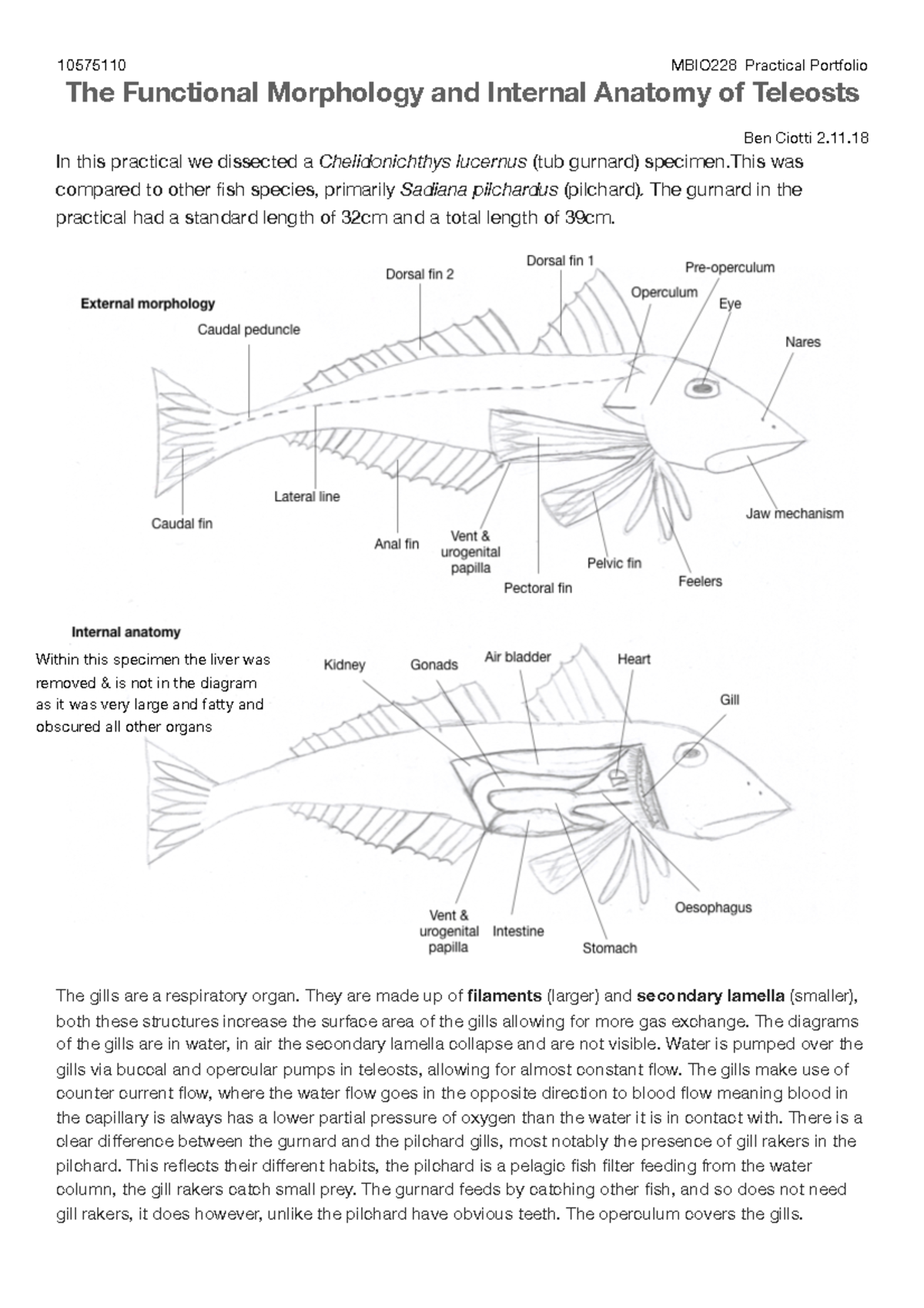 Practical portfolio 228 - 10575110 MBIO228 Practical Portfolio The ...