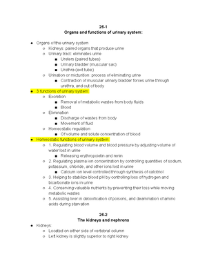 Chapter 26 and 27 - THE Urinary System - CHAPTER 26 and 27 - THE ...