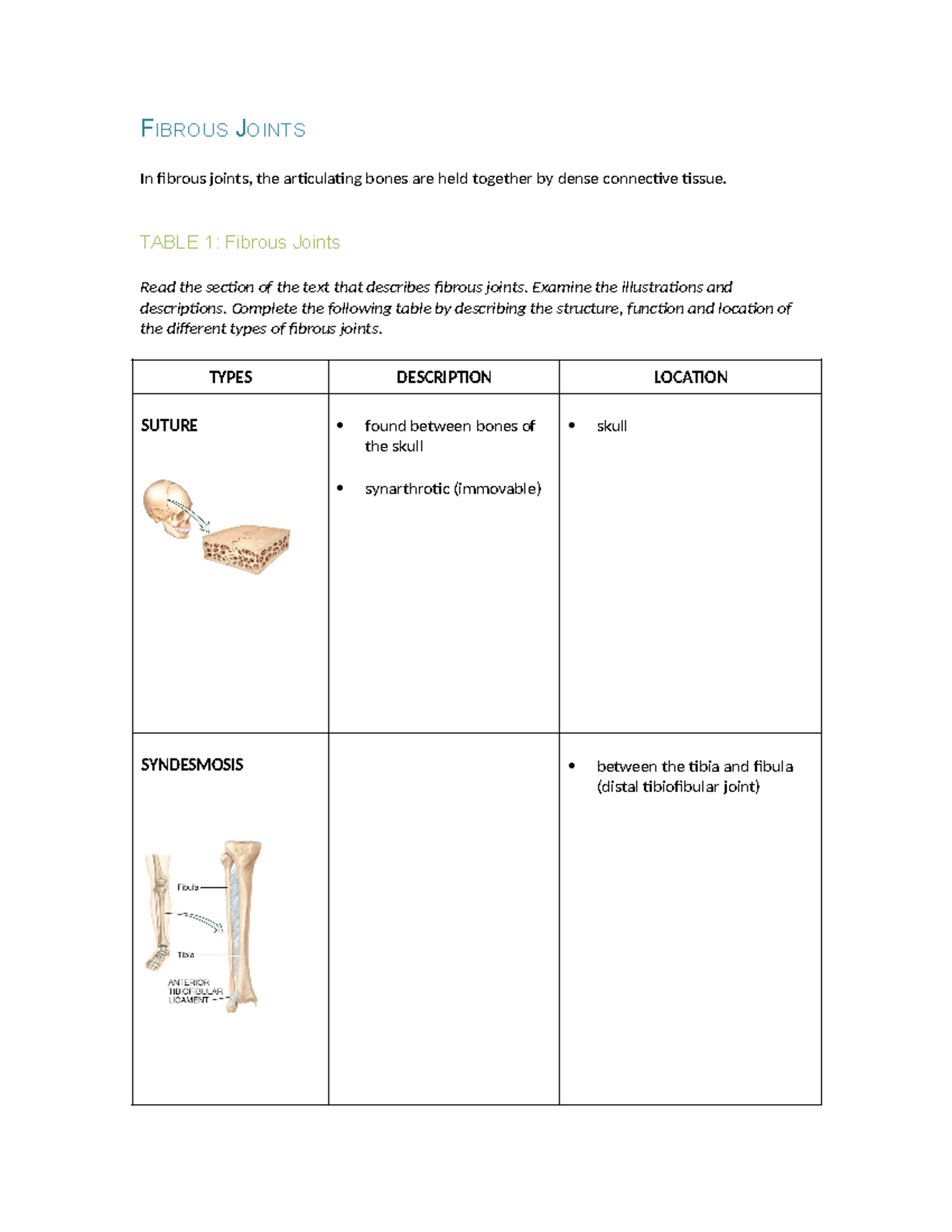Fibrous Joints - practice for you - FIBROUS JOINTS In fibrous joints ...