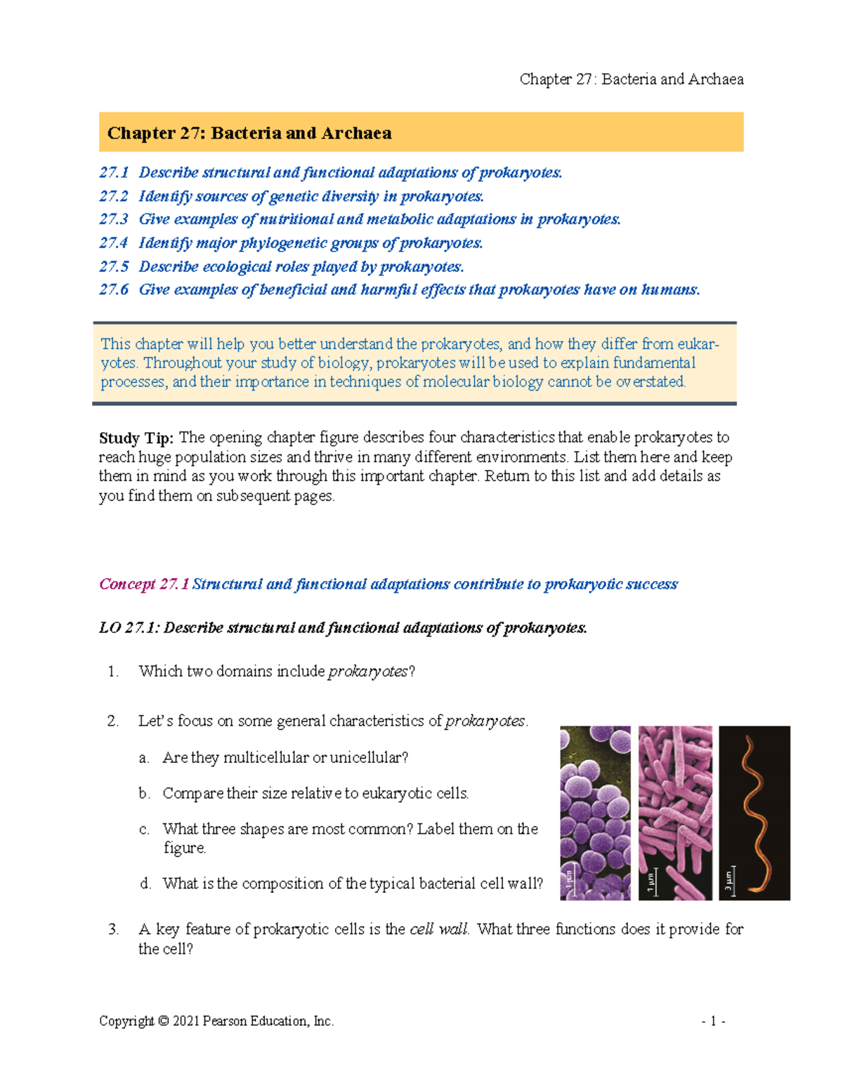 AP Bio reading guides - Copyright © 2021 Pearson Education, Inc. - 1 ...