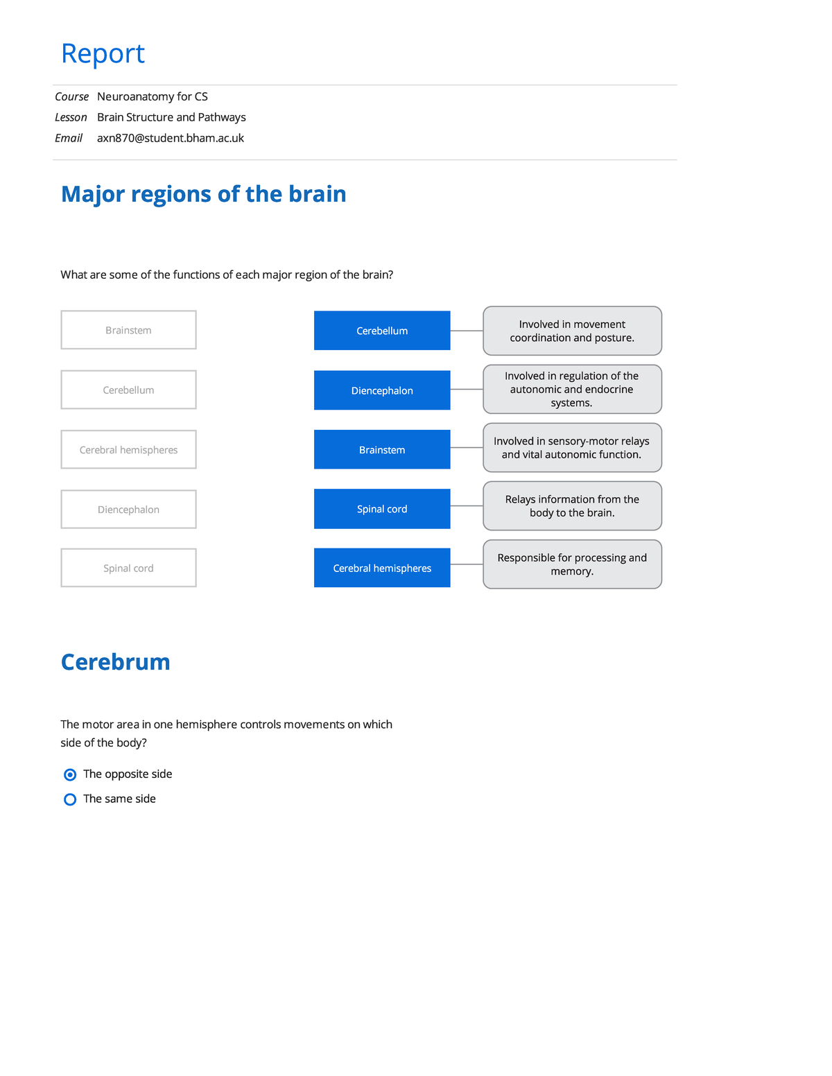 Brain Structure and Pathways report 2 - Report Course Neuroanatomy for ...