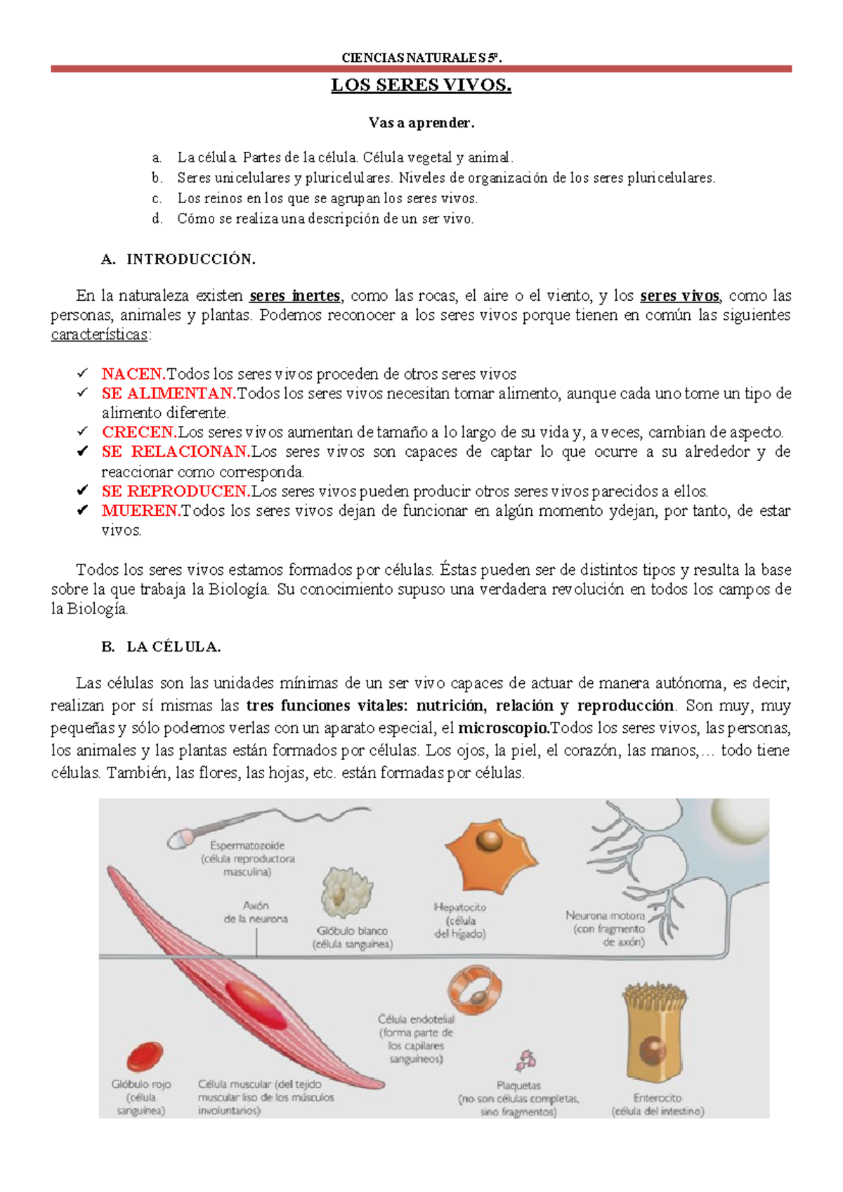 T-1-LOS- Seres- Vivos - apuntes - LOS SERES VIVOS. Vas a aprender. a ...