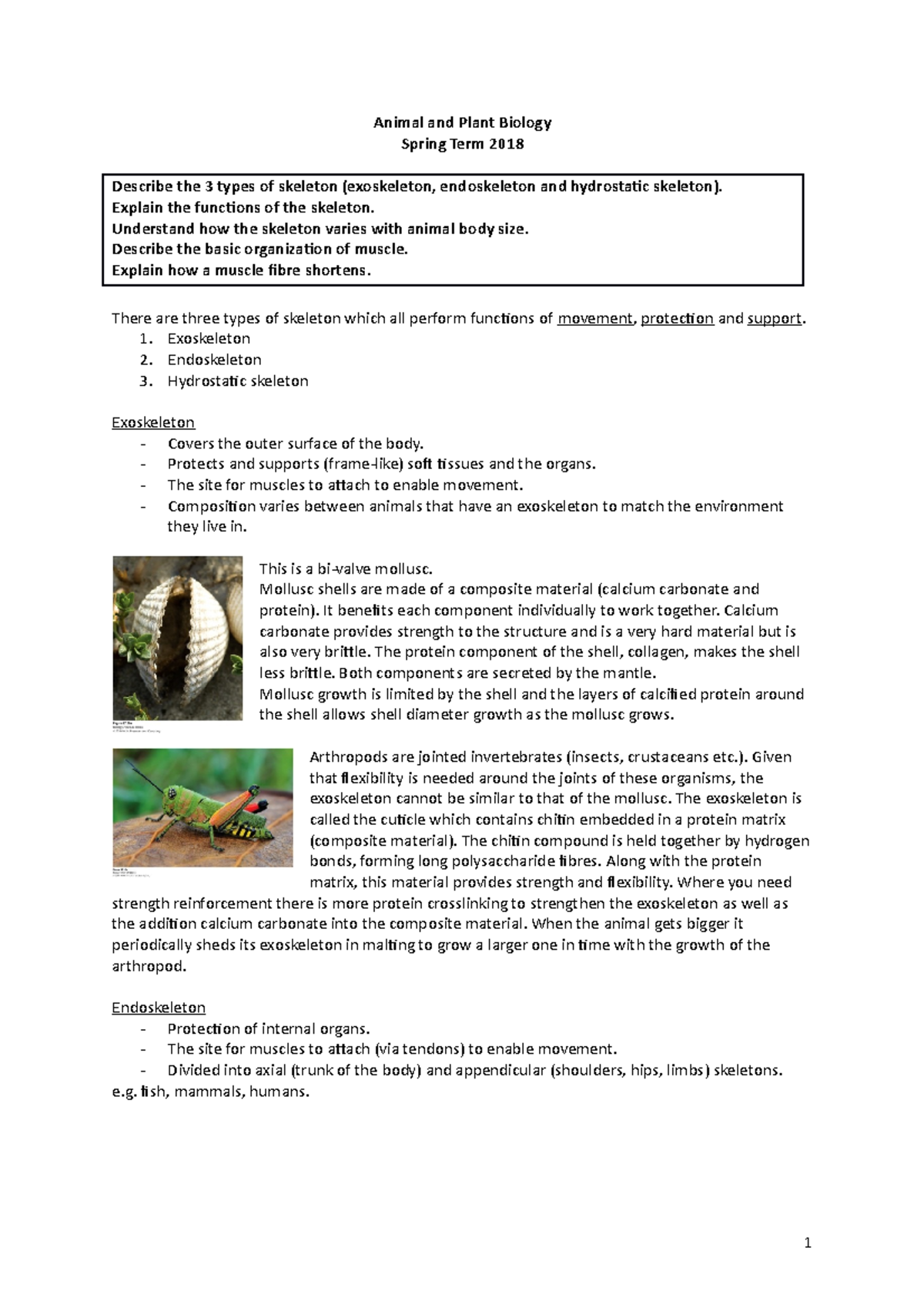 Animal and Plant Biology Notes - Animal and Plant Biology Spring Term ...