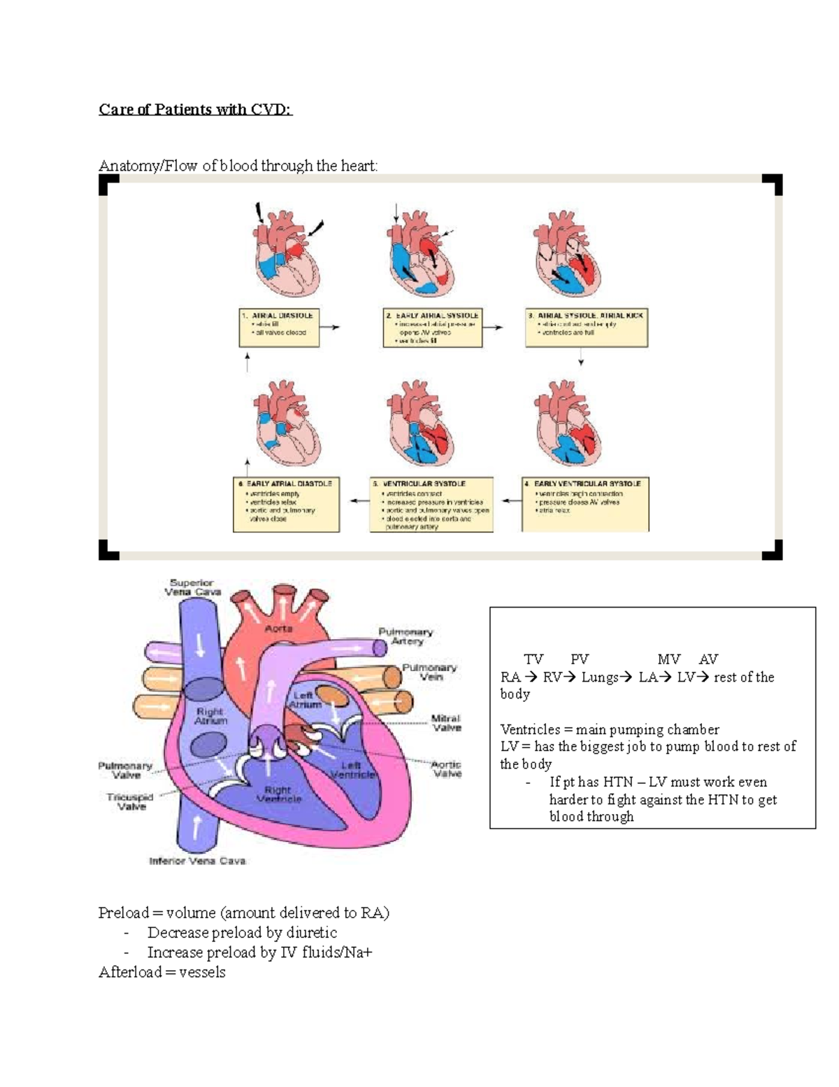 Module 1 Notes/SG - Care of Patients with CVD: Anatomy/Flow of blood ...