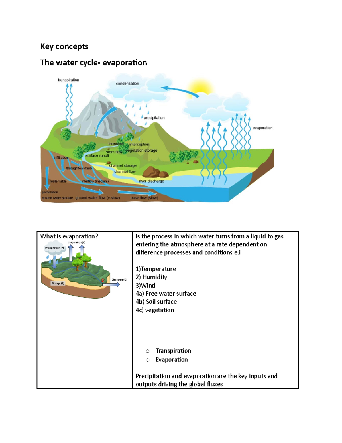 Lecture 1 evaporation - Key concepts The water cycle- evaporation What ...