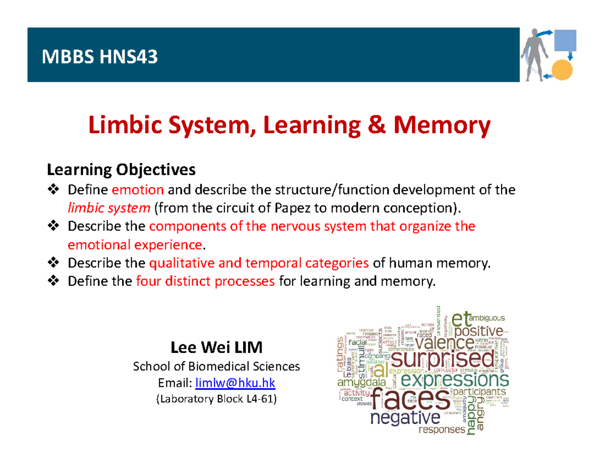 HNS43 Limbic system, learning and memory (Slides) 20230117 - Limbic ...