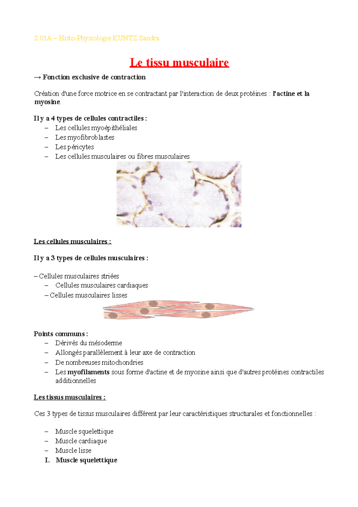 Cours 4 - Tissu musculaire - 2 – Histo-Physiologie KUNTZ Sandra Le tissu musculaire → Fonction ...