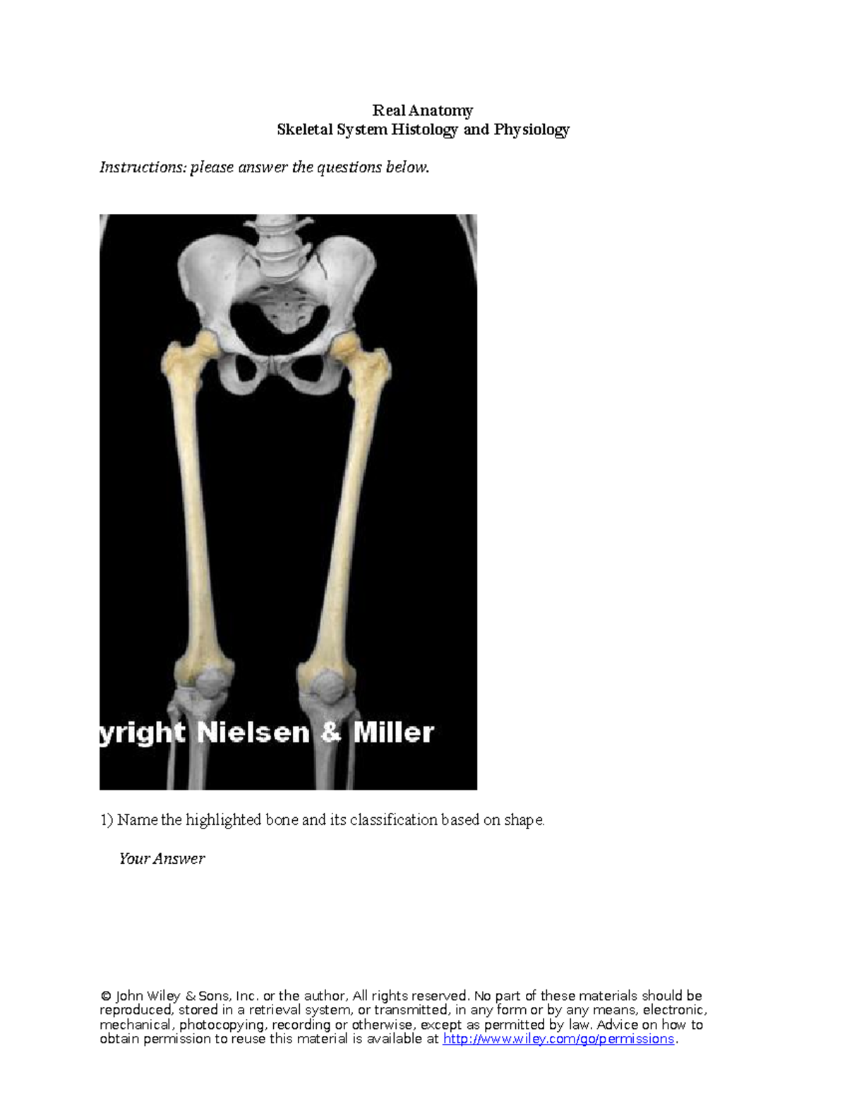 04 skeletal system histology and physiology Worksheet - Real Anatomy ...
