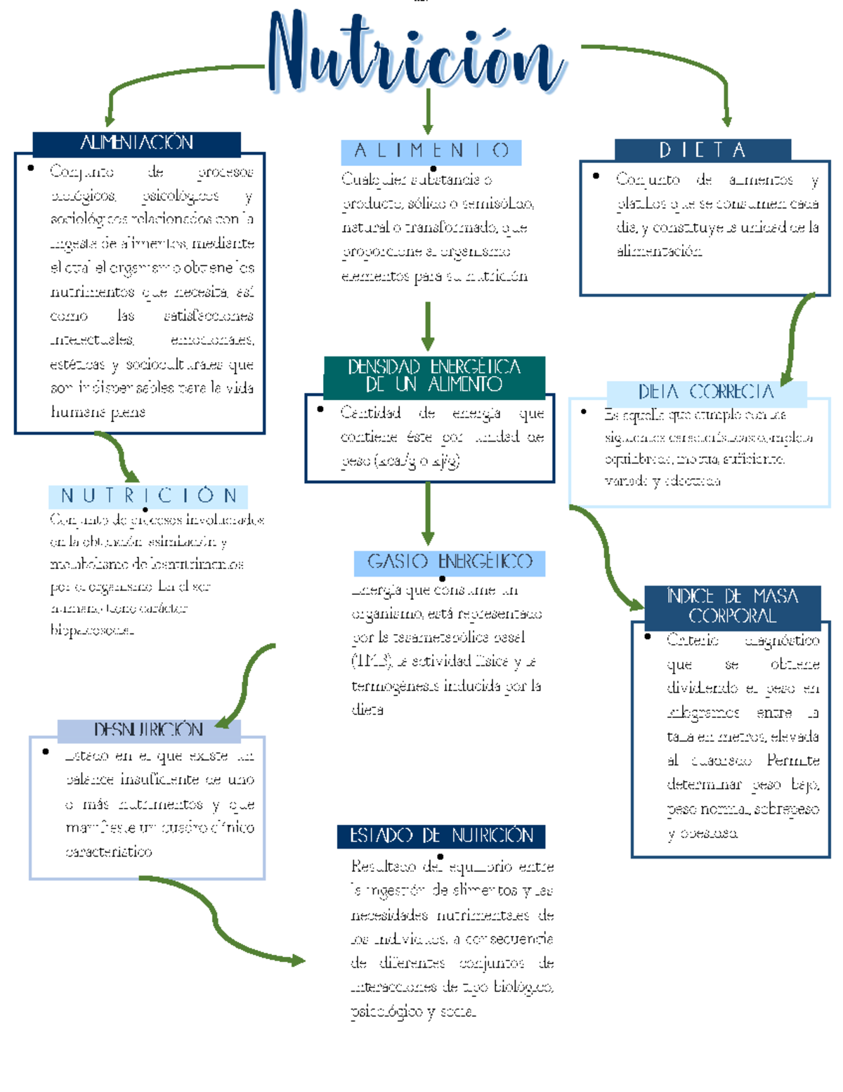 Mapa conceptual de la nutricion - Funciones y Relaciones - lOMoARcPSD ...