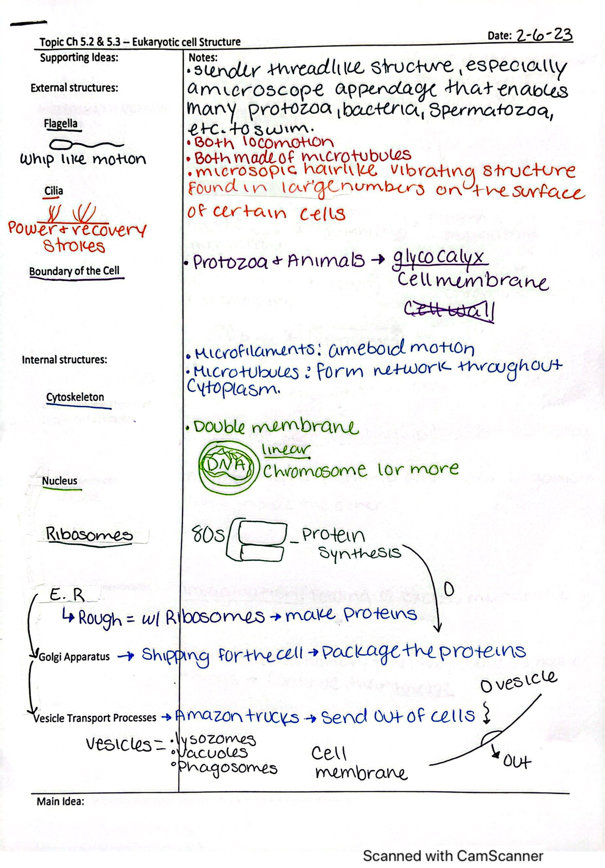Chapter 5 - notes - Date: Topic Ch 5 5 Eukaryotic cell Structure ...