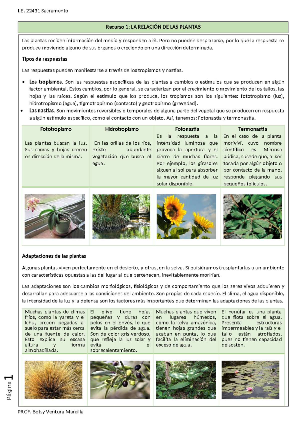 Cómo se reproducen las plantas - Página 1 Recurso 1: LA RELACIÓN DE LAS ...