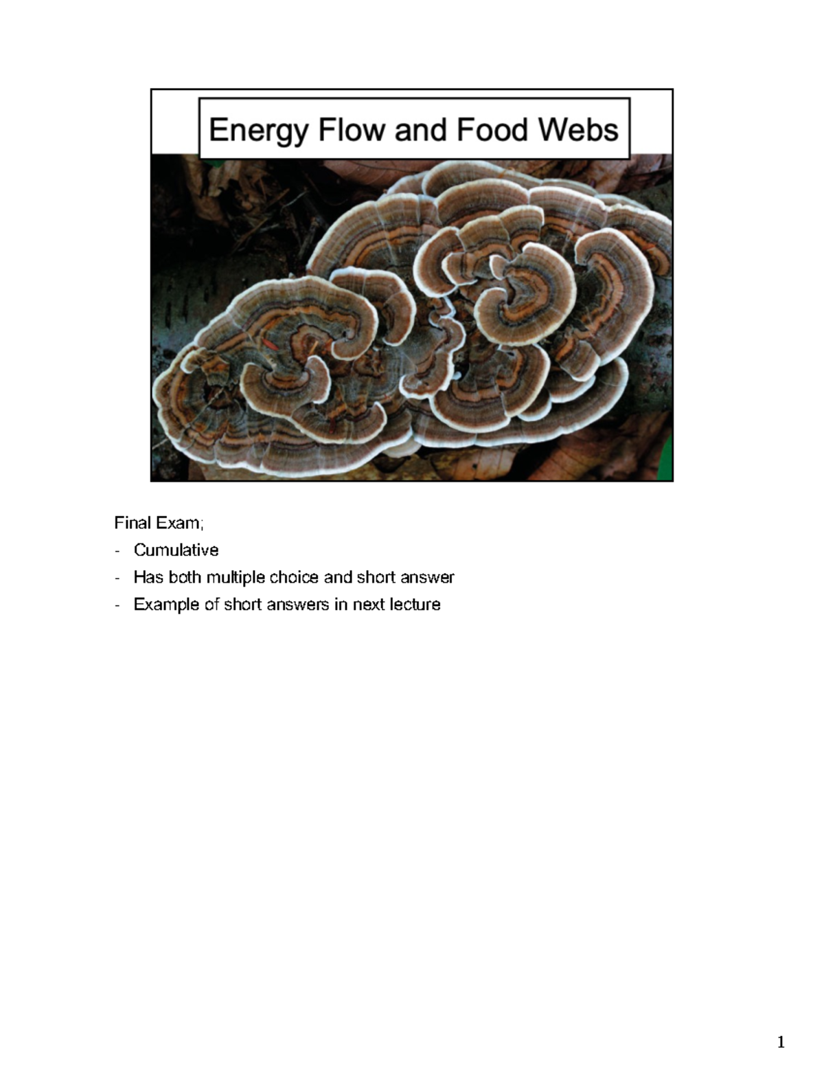 Lecture 19; Energy Flow and Food Webs - Final Exam; Cumulative Has both ...