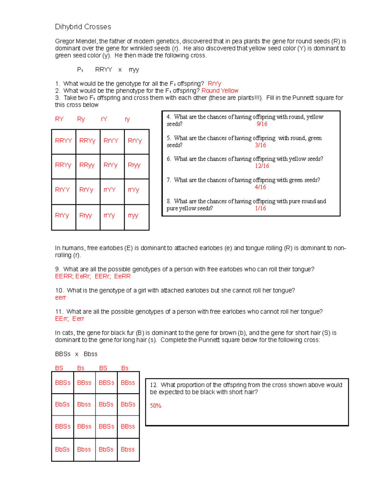 Dihybrid Crosses worksheet KEY - Dihybrid Crosses Gregor Mendel, the ...