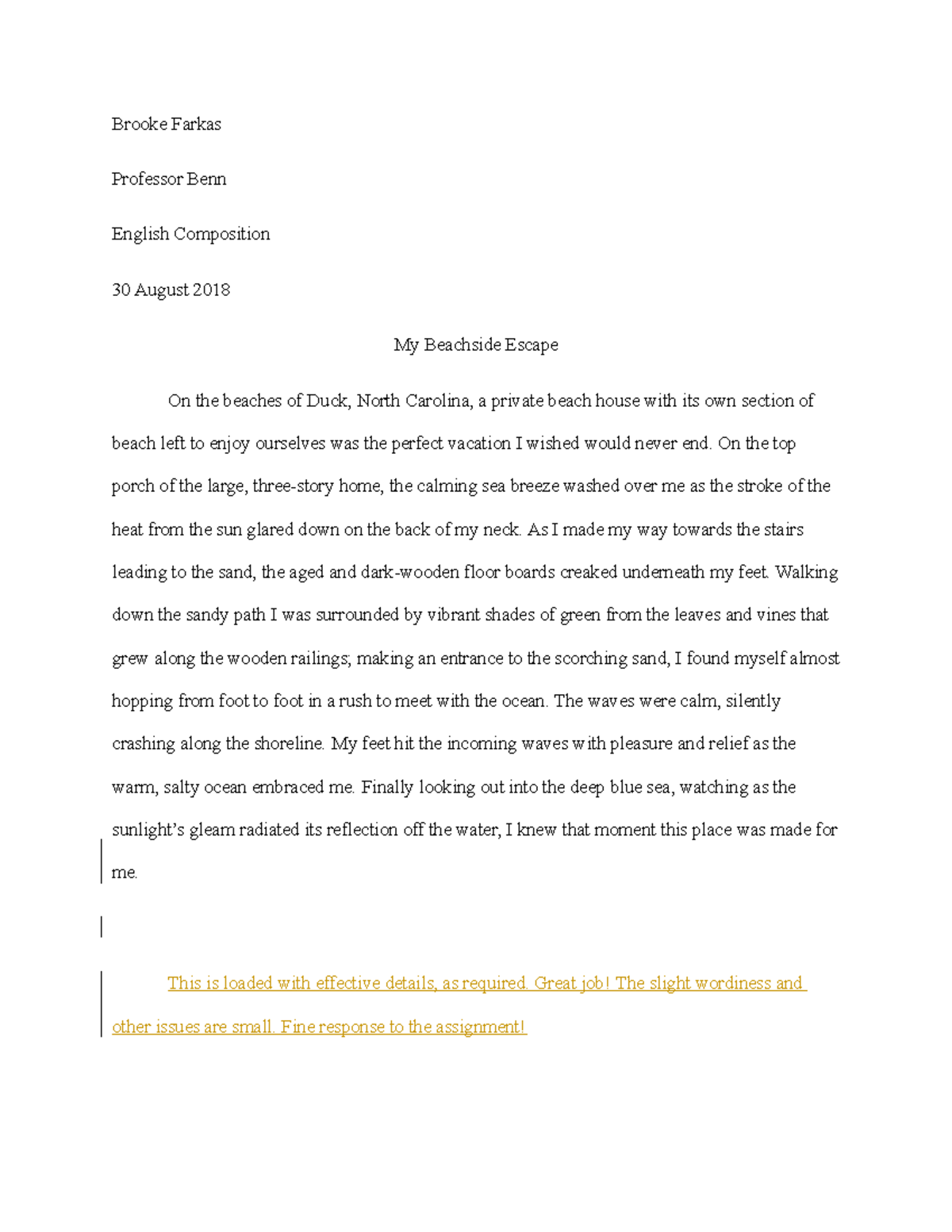 Brooke Farkas's descriptive paragraph - Brooke Farkas Professor Benn ...