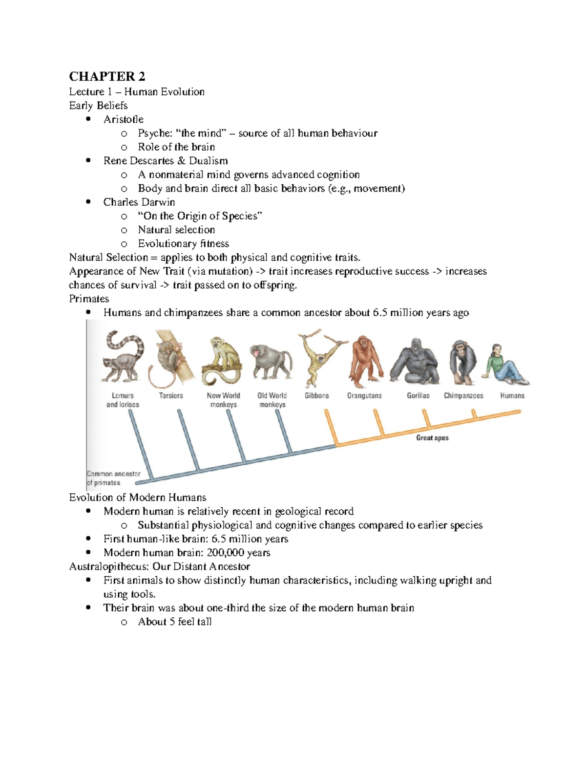 Psych 242 Lecture Capture Notes - CHAPTER 2 Lecture 1 – Human Evolution ...