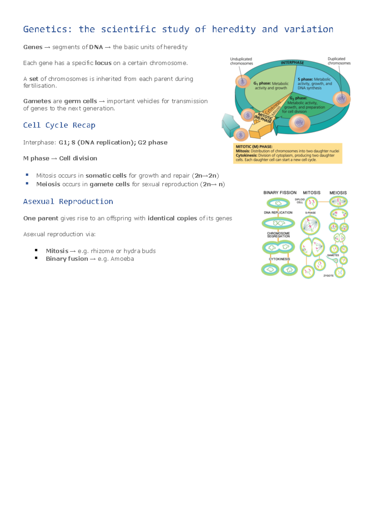 Genetics - SUMMARY - Genetics: the scientific study of heredity and ...