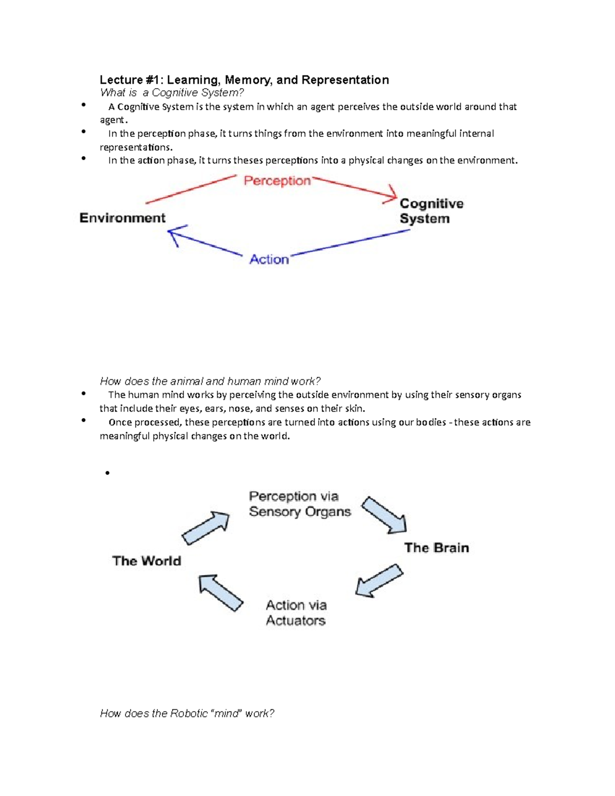 Lecture 1 mysterie of the minds - Lecture Learning, Memory, and ...