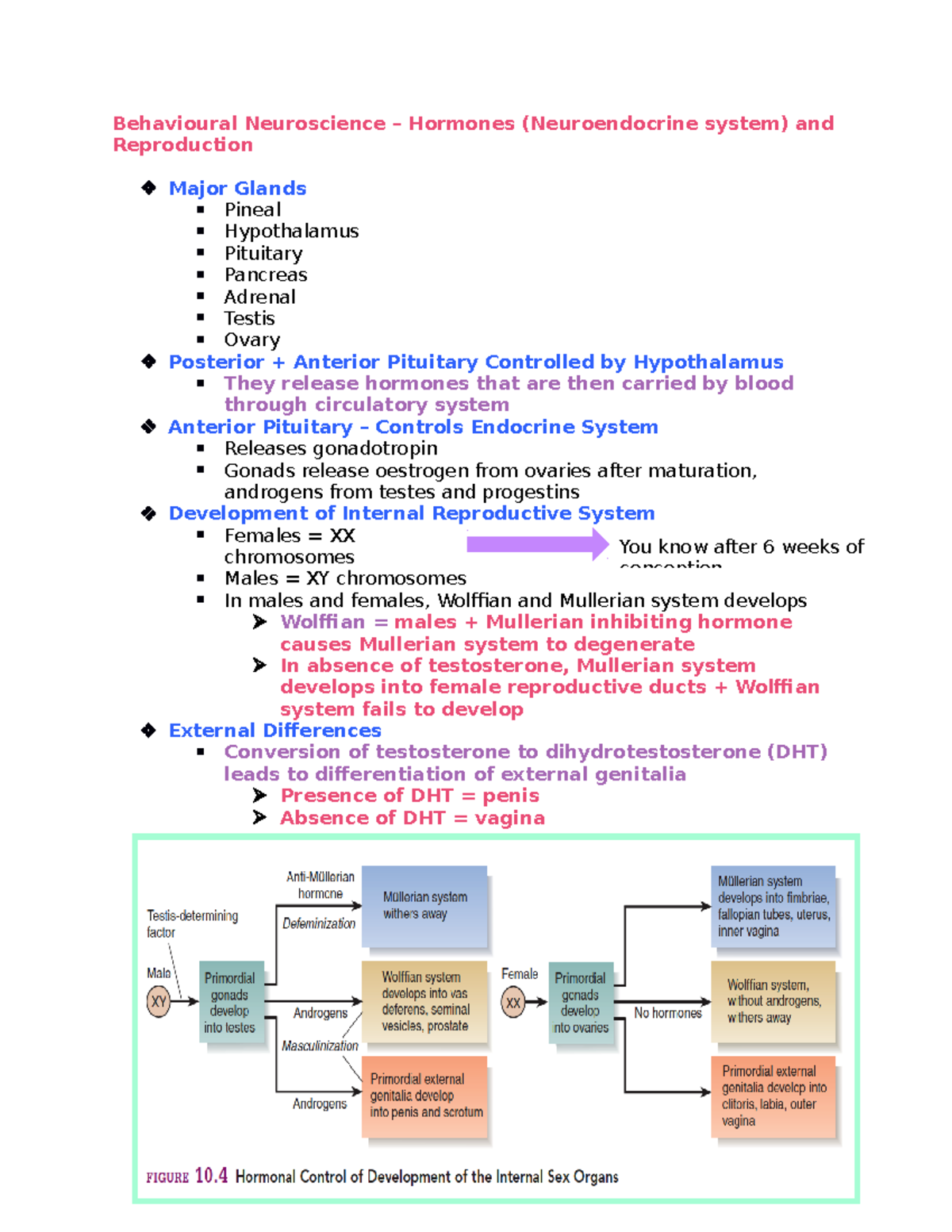 Behavioural Neuroscience – Hormones - Behavioural Neuroscience ...