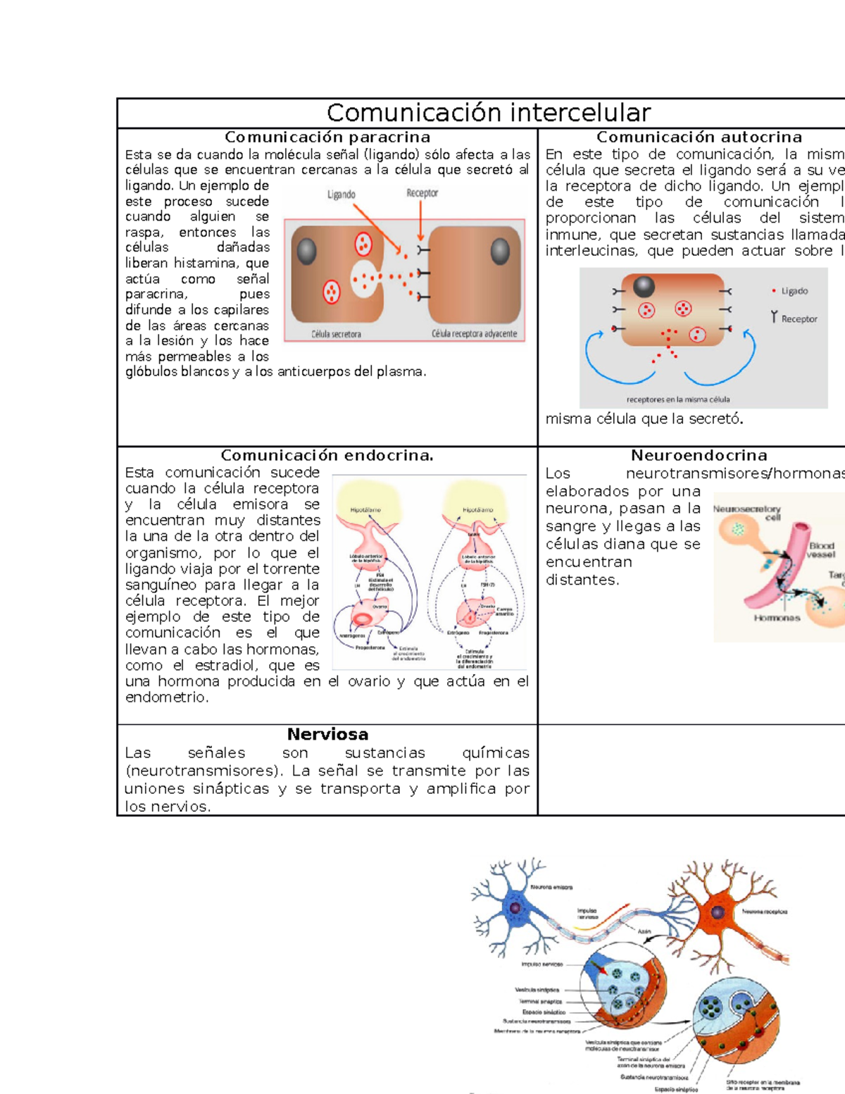 Comunicación intercelular apuntes de fisiología humana - Fisiologia ...