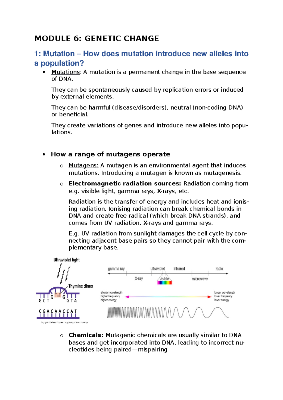 2019 BIO Module 6 Genetic Change Notes Chloe Mc Millan Notes - MODULE 6 ...