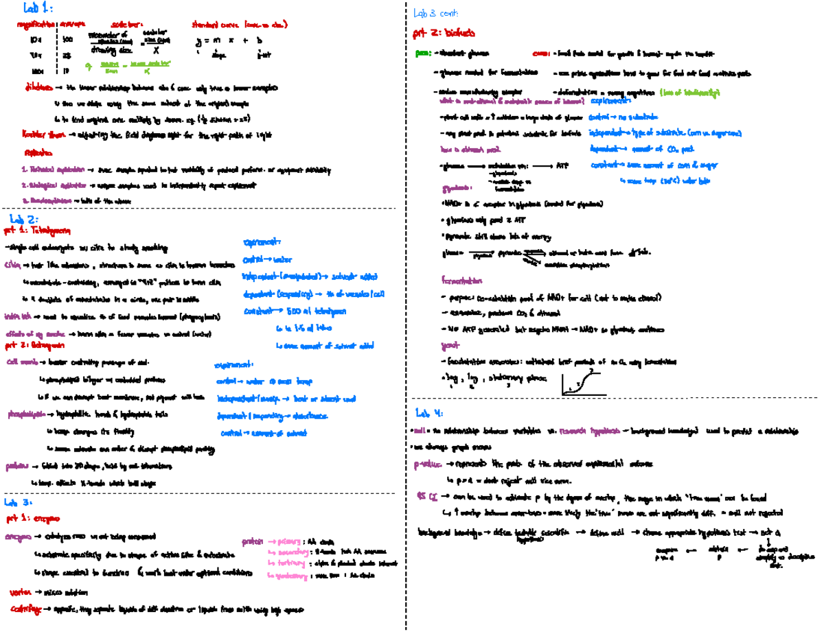 Lab cheatsheet bio 107 final - Lab 1 : Lab 3 conti magnification my ...