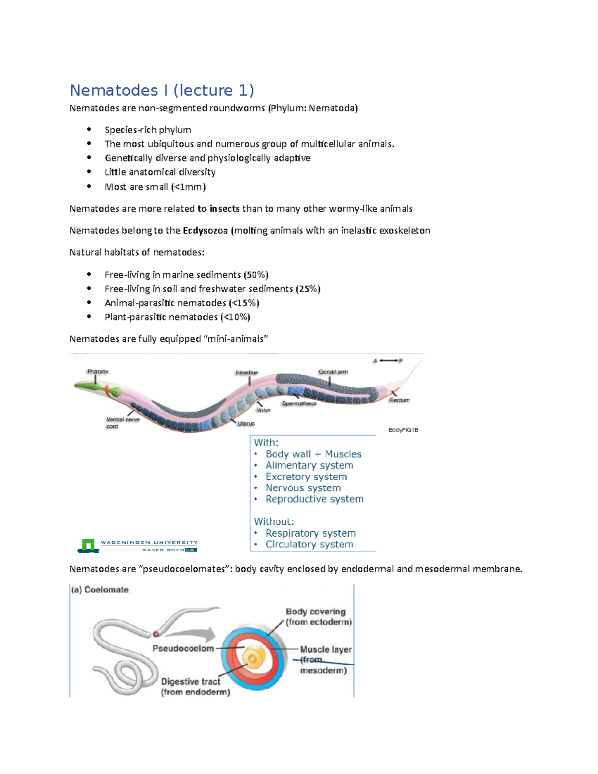 Summary nematodes - Nematodes I (lecture 1) Nematodes are non-segmented ...