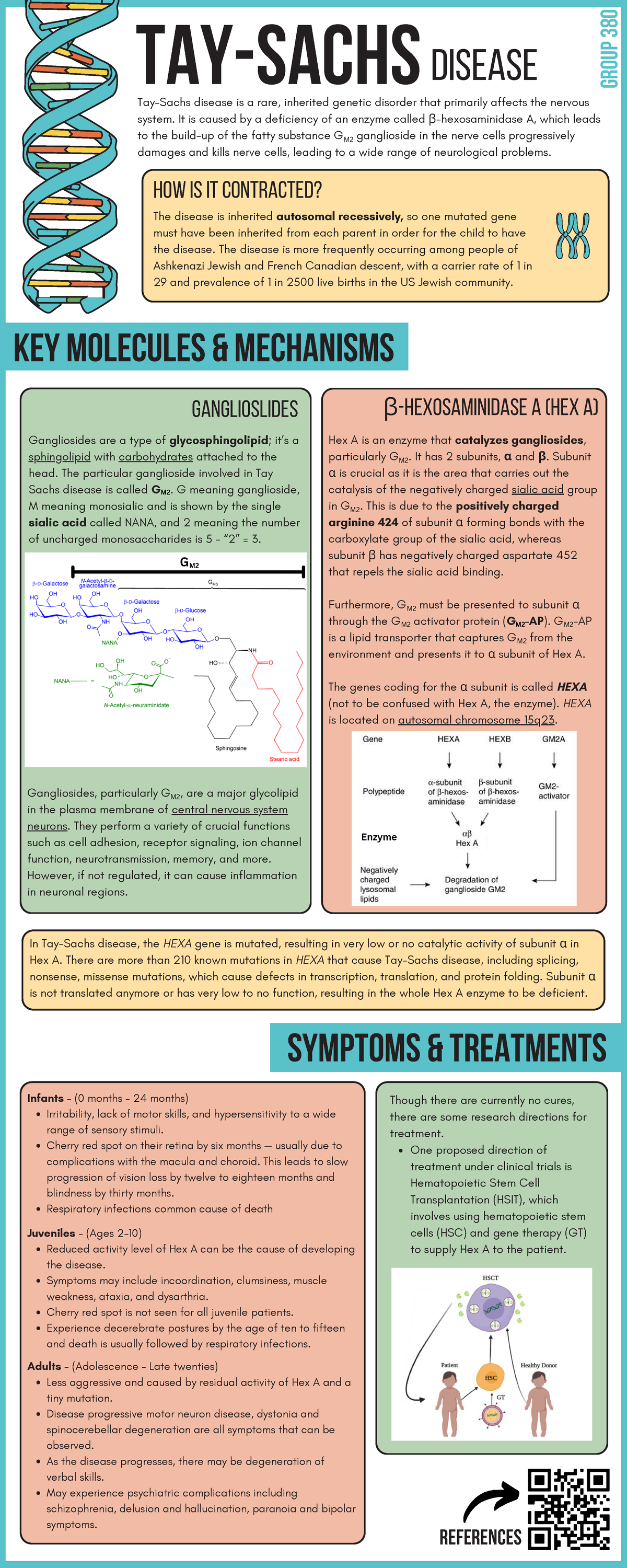 Document-1-1 - was good - TAY-SACHS Disease key molecules & mechanisms ...