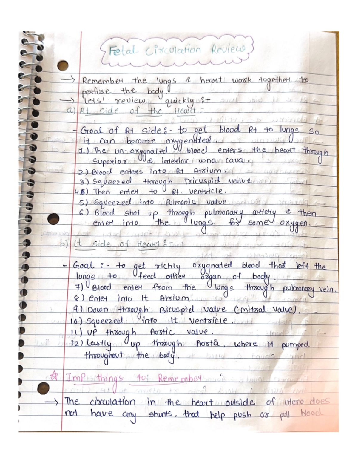 Fetal circulation - Notes for nurses - Nursing - Studocu