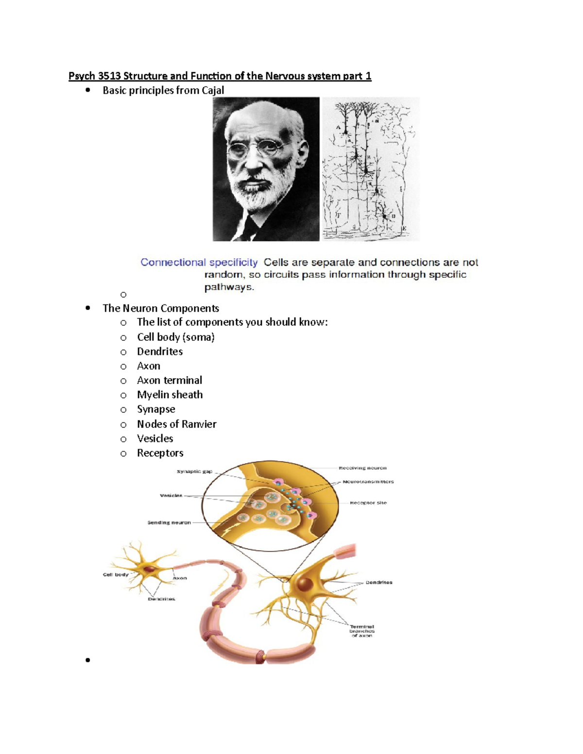 Psych 3513 Structure and Function of the Nervous system part 1 - o ...