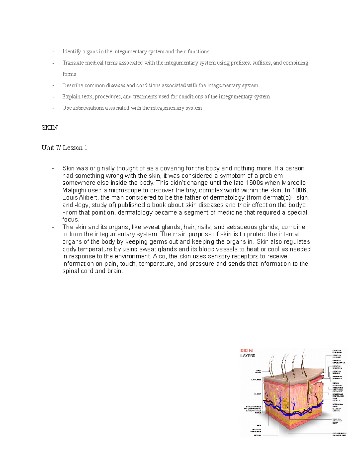 Med. Terminology Skin Integuementary System - Identify organs in the ...