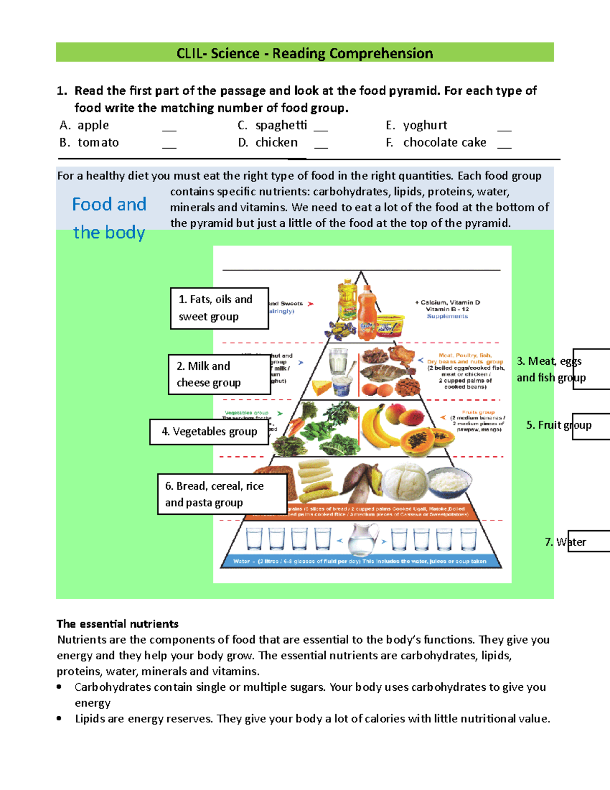 Food Pyramid Word Worksheet - CLIL- Science - Reading Comprehension 1 ...