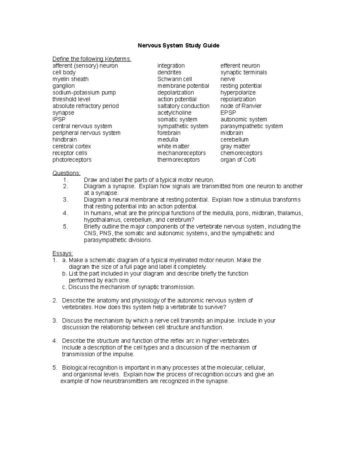 50319787 Nervous System Study Guide - Nervous System Study Guide Define ...