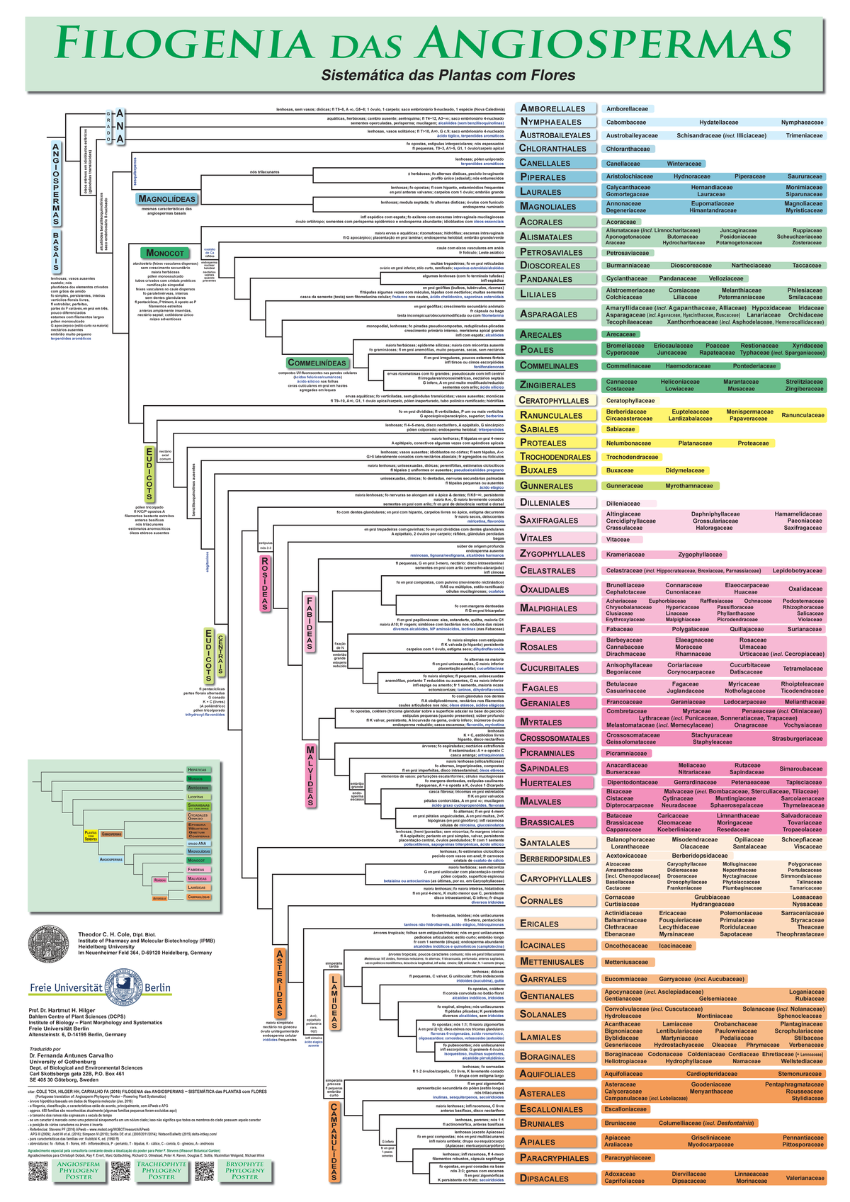 Filogenia Angiospermas-Pt - A sterAles Bixaceae Malvaceae (incl. Bombacaceae, Sterculiaceae ...