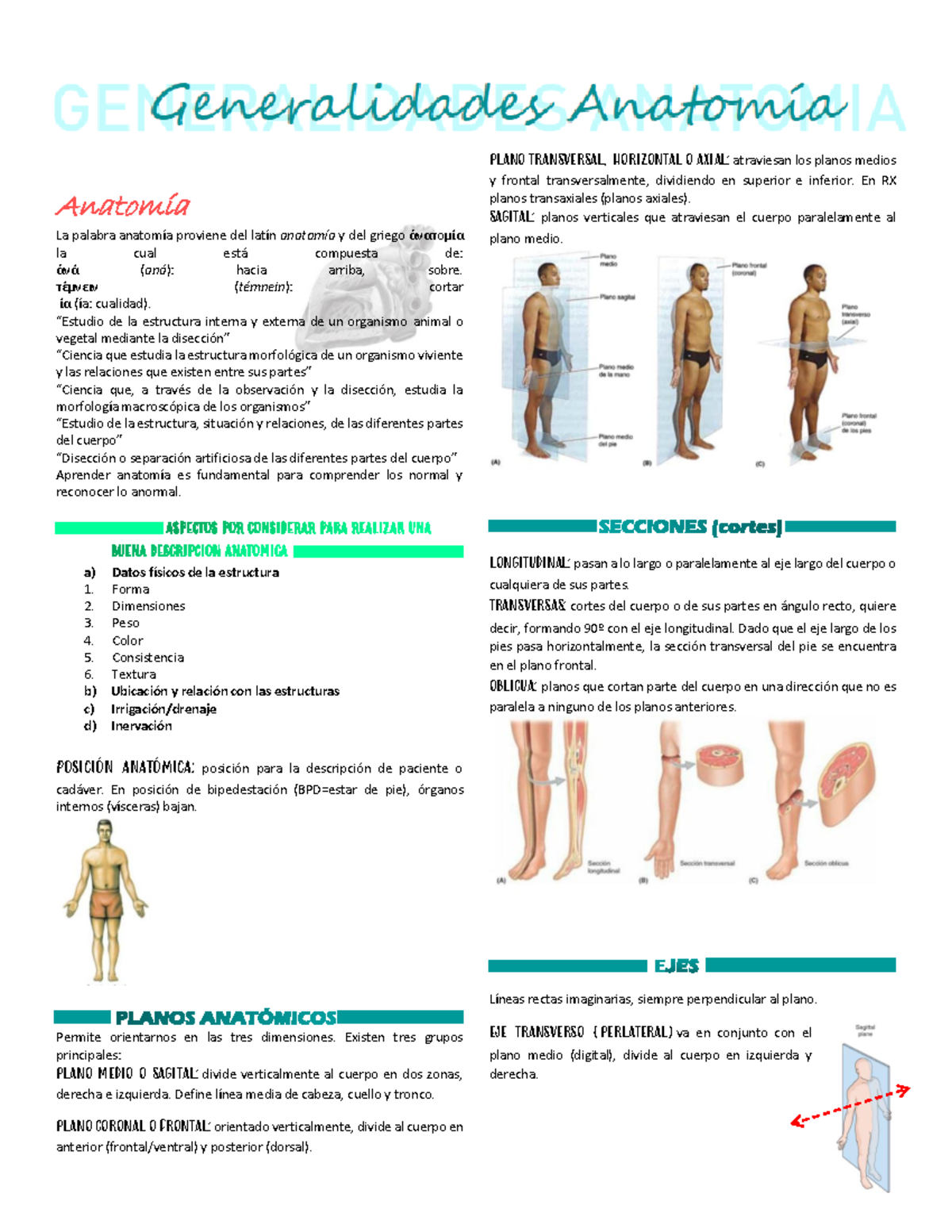 1. Anatomia (Recuperado automáticamente) - Warning: TT: undefined function: 32 Warning: TT ...